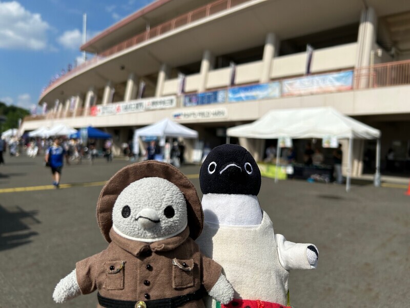 強豪・FC今治を討ち取れ！久しぶりのおでかけはサッカー観戦へ(598) - ちびすけがいく〜Suica's chibisuke goes〜