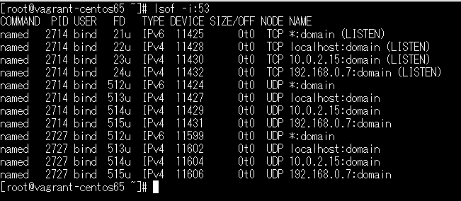 CVE-2015-5477の検証(&DNSに関する基礎知識) - 断片