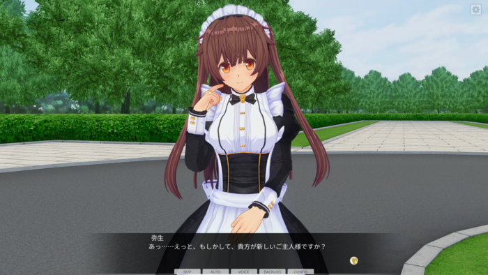 COM3D2体験版 - E.F.R.