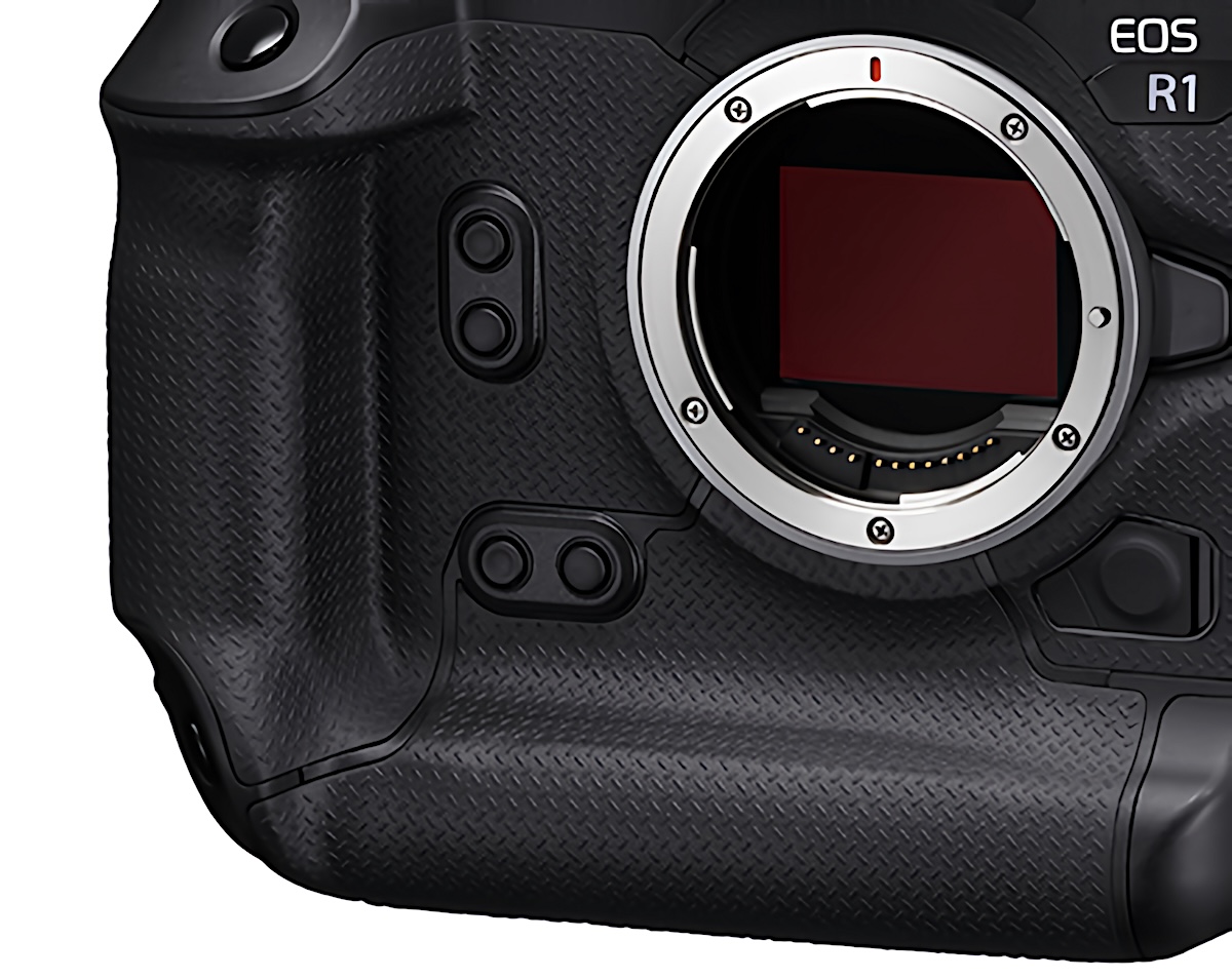 キヤノン「EOS R1」 秋田市大森山動物園の「雪の動物園」を〜「EOS R1」を相棒に㉙〜 - カスタム/CUSTOM/でいこう😎