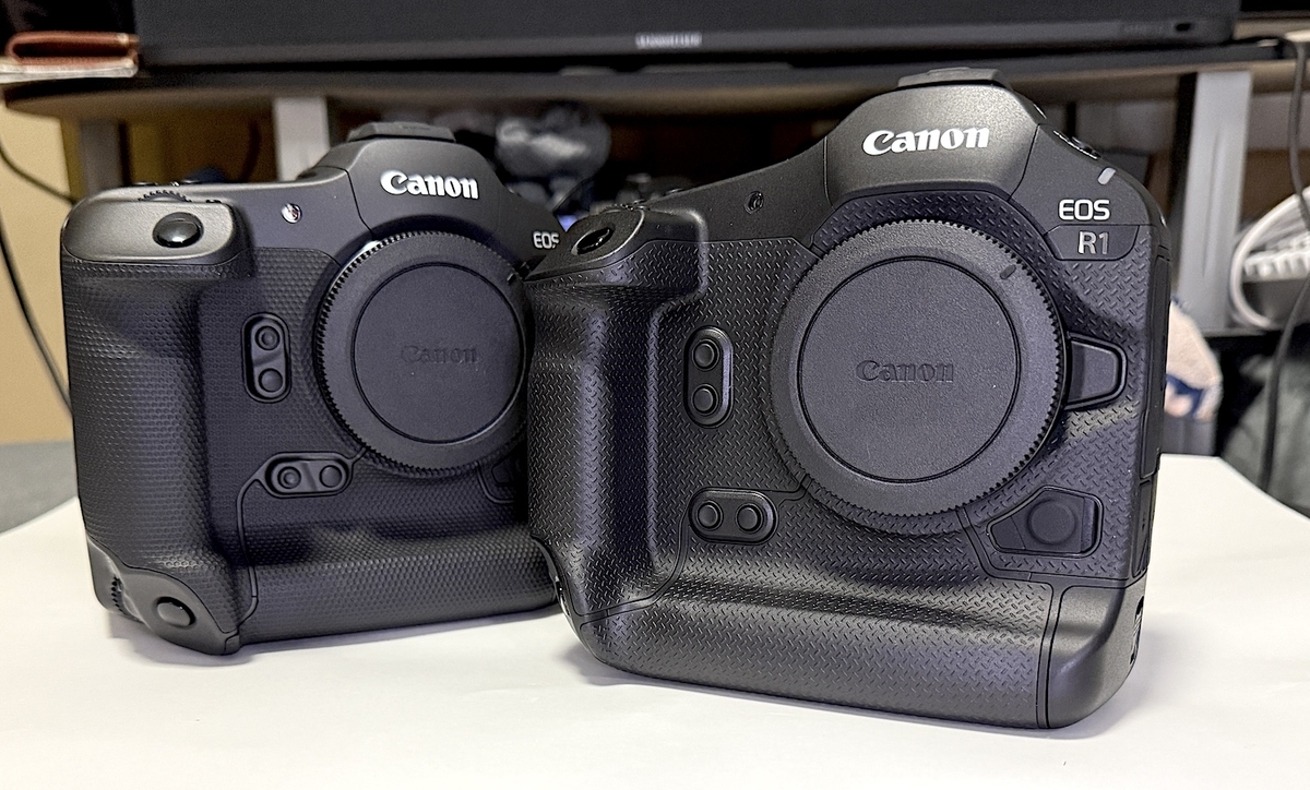 キヤノン「EOS R1」と「EOS R3」の比較動画がおもしろい ダイナミックレンジはR1、ノイズ耐性はR3が有利！〜「EOS R1」を相棒に ...