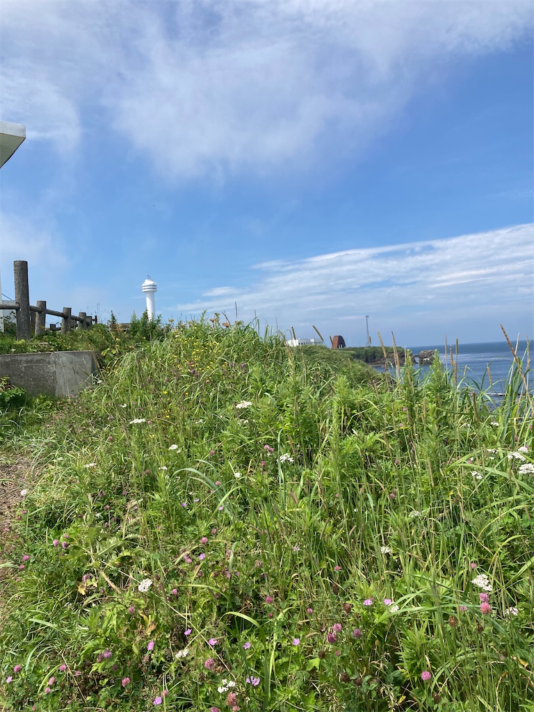 北海道旅行7日目。日本最東端納沙布岬。 - fatimariaの日記