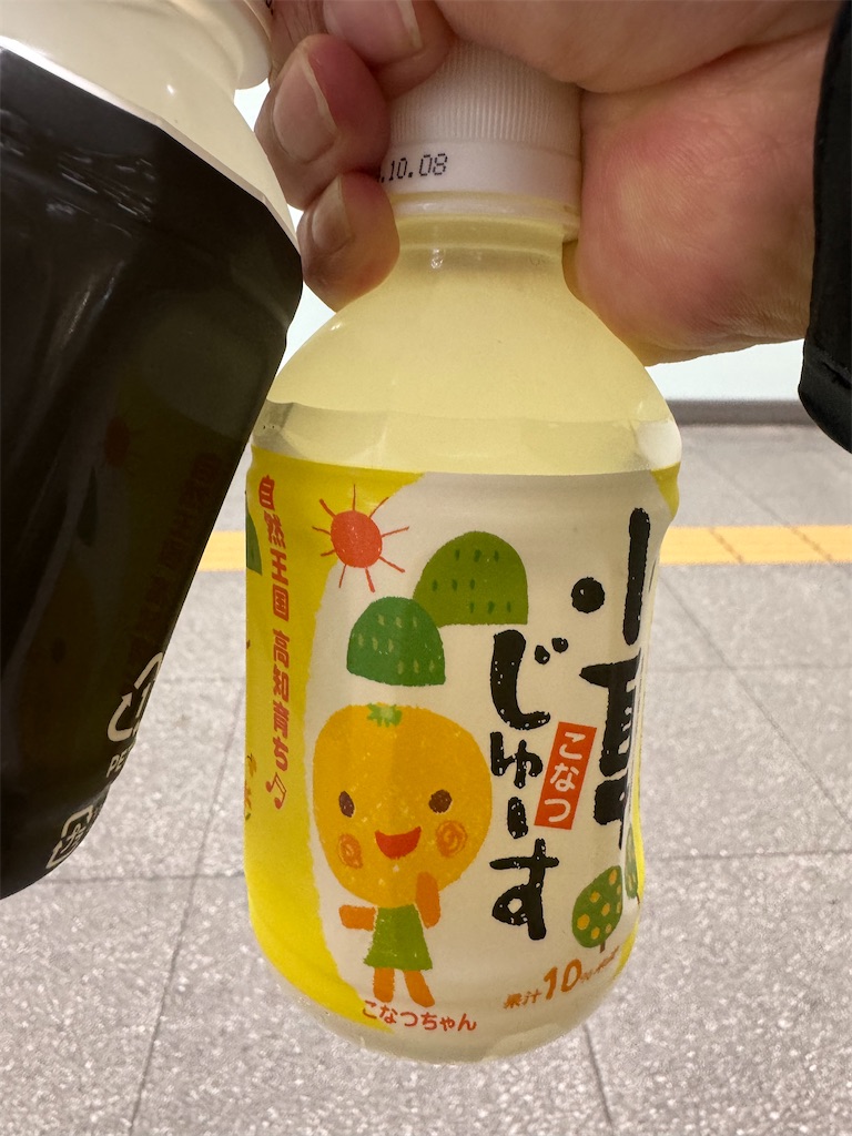 3.高知駅周辺。 - fatimariaの日記