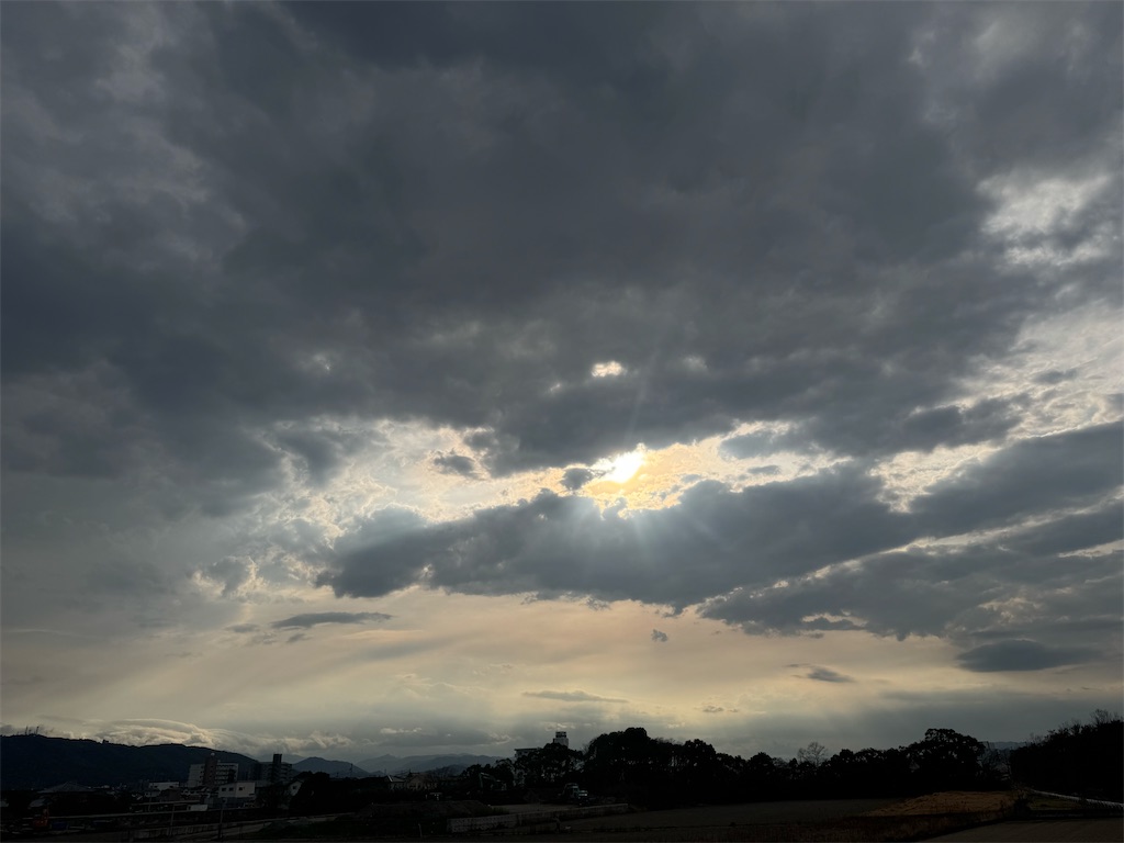 今日雨だけど…。 - fatimariaの日記