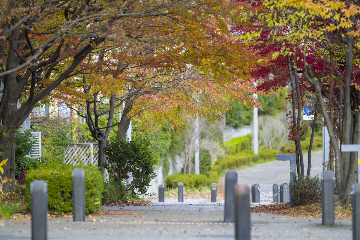 LEICA SL2 / APO-TELYT-R 1:4/280mm 手持ち撮影 - fclife.tokyo