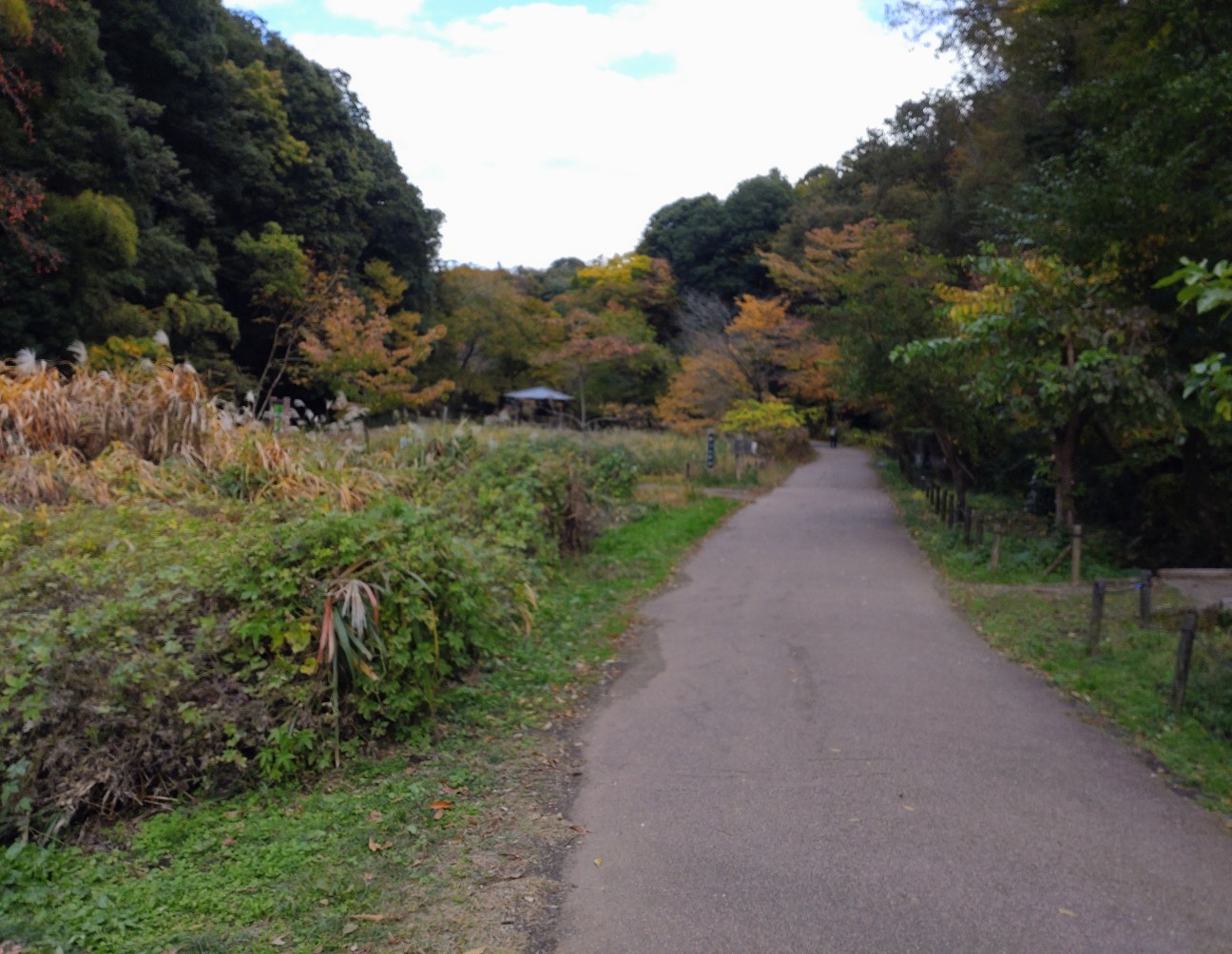 昨日も公園散歩そして - 放假 - fanjia