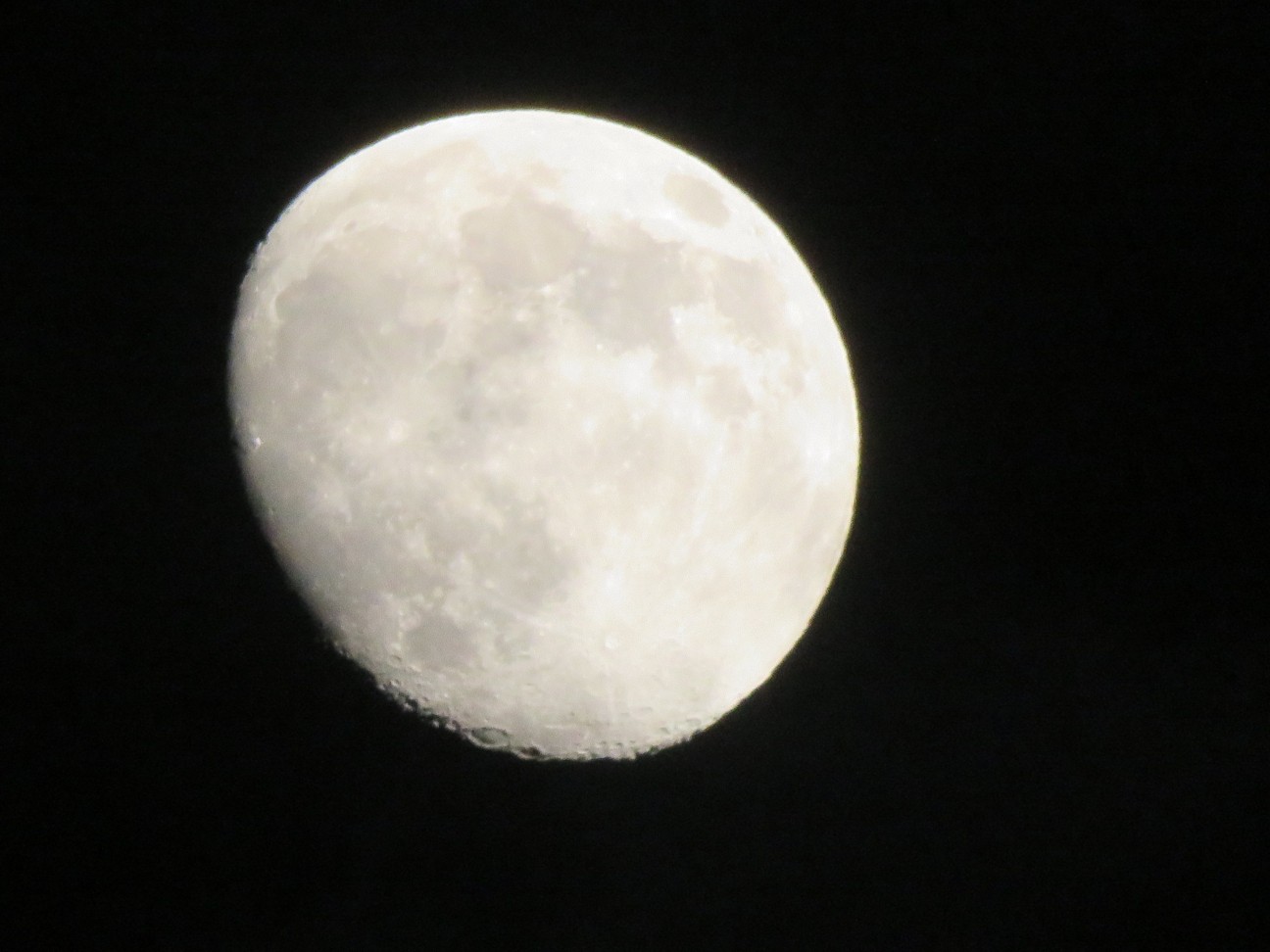 忘年会がはじまった - 放假 - fanjia