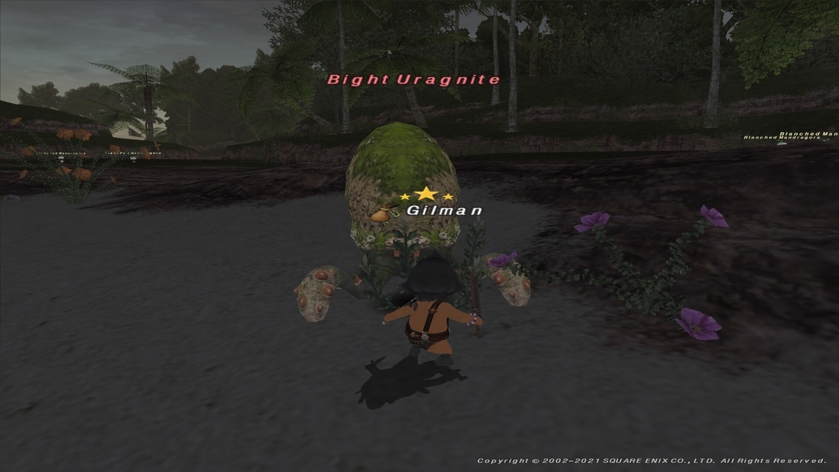 TPマカイラ作成計画 - FF11&FF14 ギルレポ㊙️