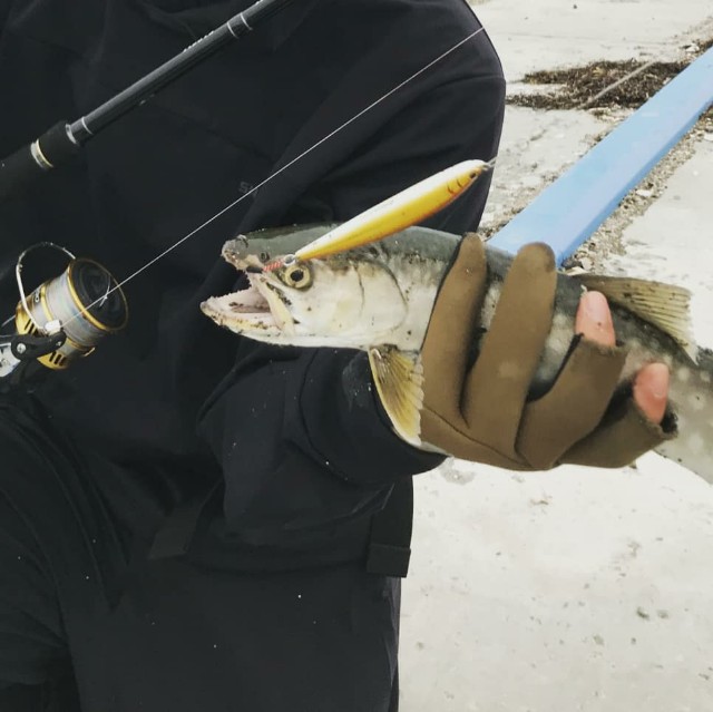 日本最北端でトラウトゲーム - fish-eaters