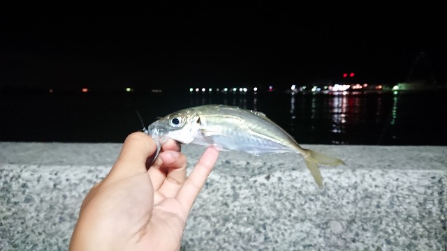 近所でライトゲーム♪ - fish-eaters