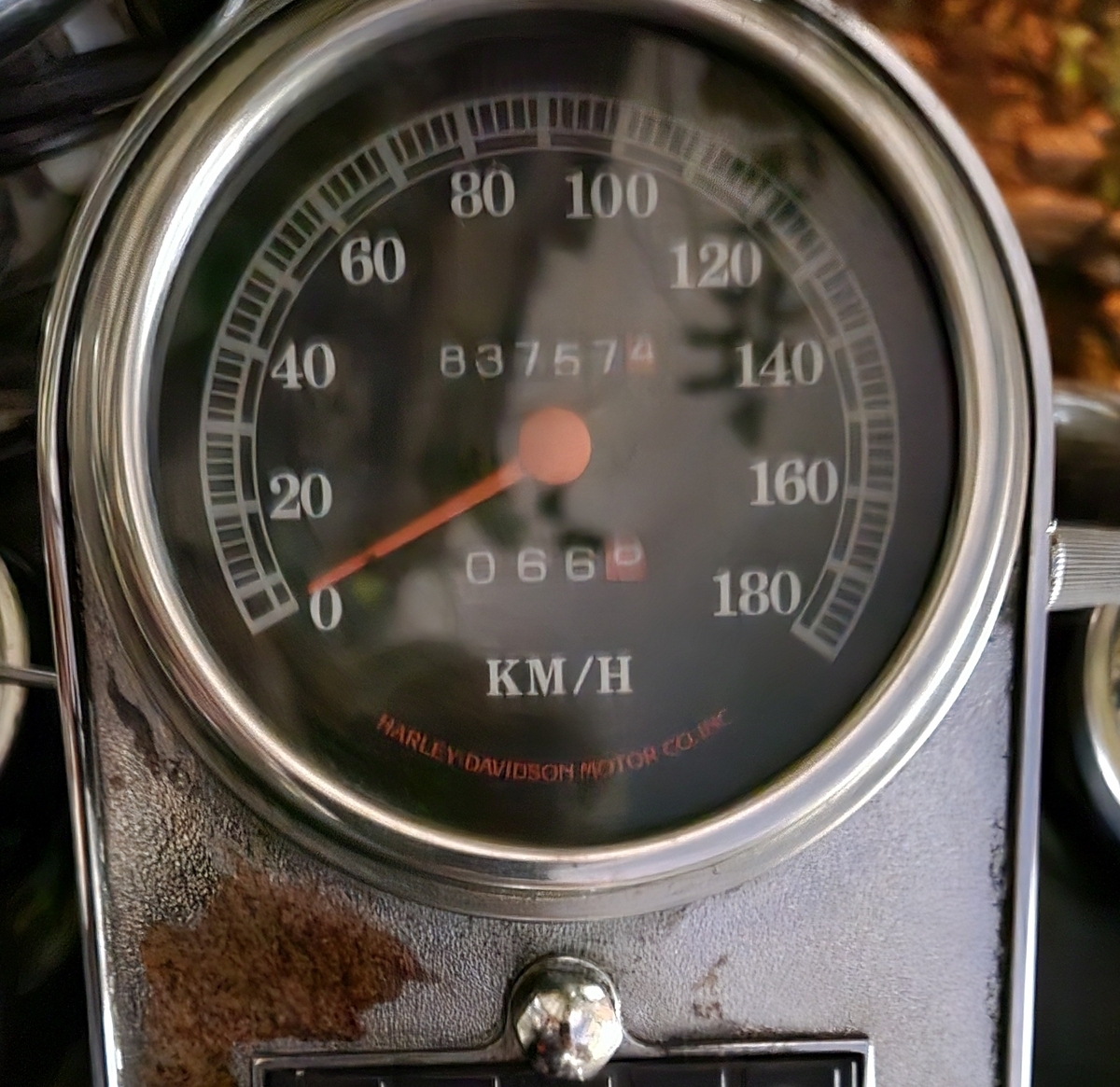 2024年9月 北海道ツーリング 11日目 新潟港～東京（自宅まで） - fishtail2017 ～遠くても…空とこの道出会う場所へ～