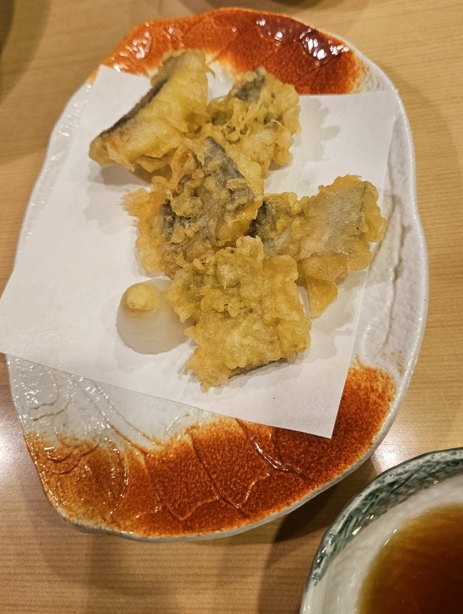 2025長岡大花火旅行 1日目 - fishtail2017 ～遠くても…空とこの道出会う場所へ～