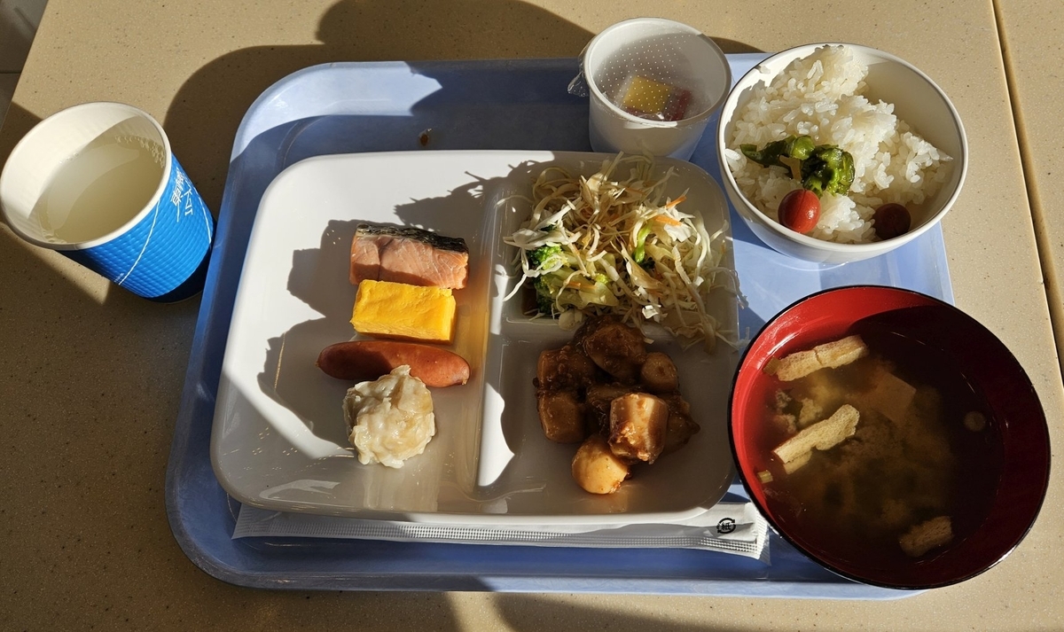 2025長岡大花火旅行 2日目前半 - fishtail2017 ～遠くても…空とこの道出会う場所へ～