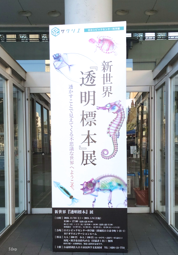 透明標本展へ(※会期終了済み) - フジダナセーブポイントinはてな