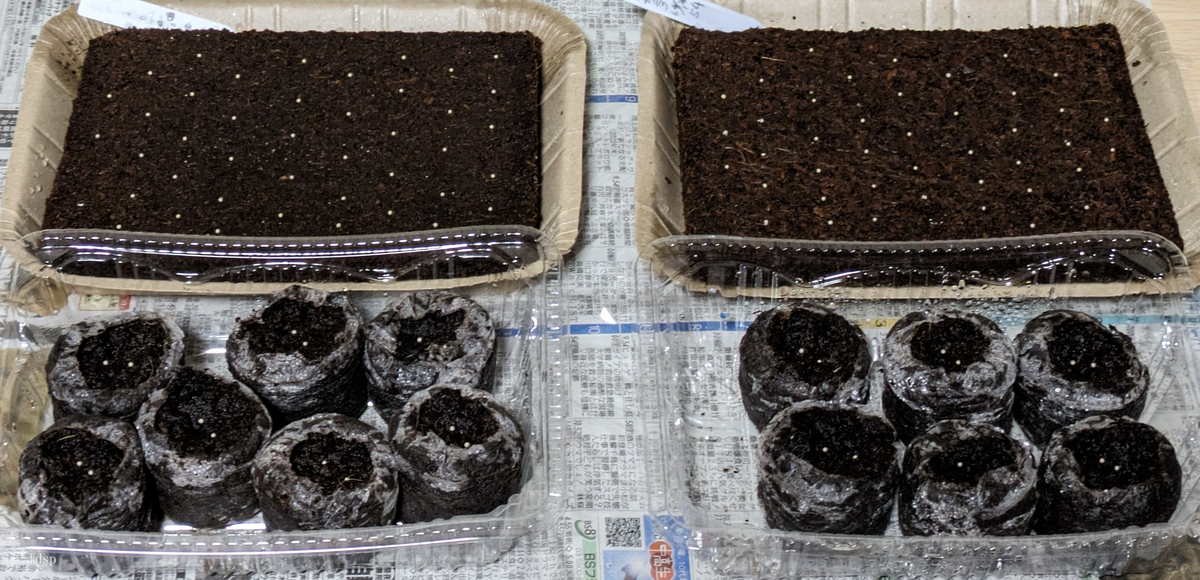 フジダナセーブポイントinはてな