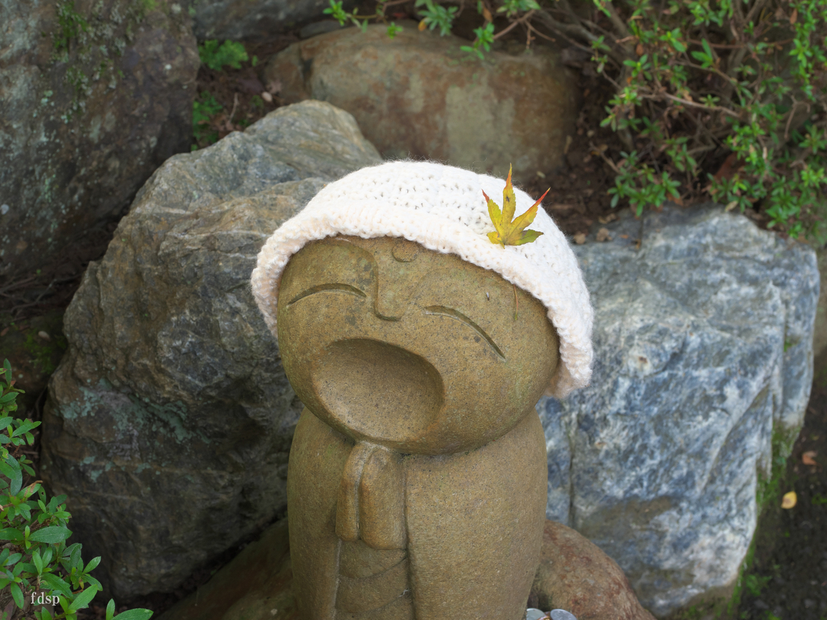 群馬県・宝徳寺へ(床もみじ)(2024/11/17) - フジダナセーブポイントinはてな