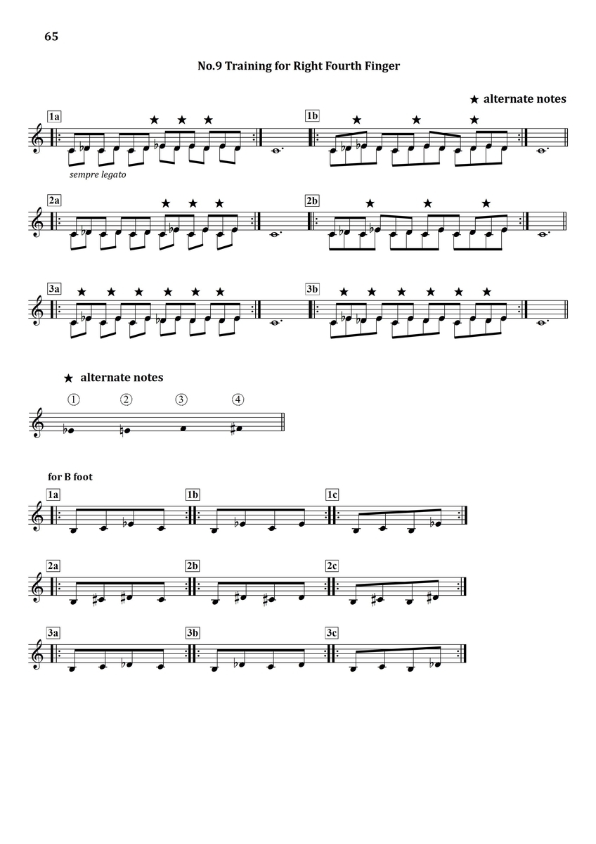 Daily Exercises No.9 Training for Right Fourth Finger - フルート上達の秘伝