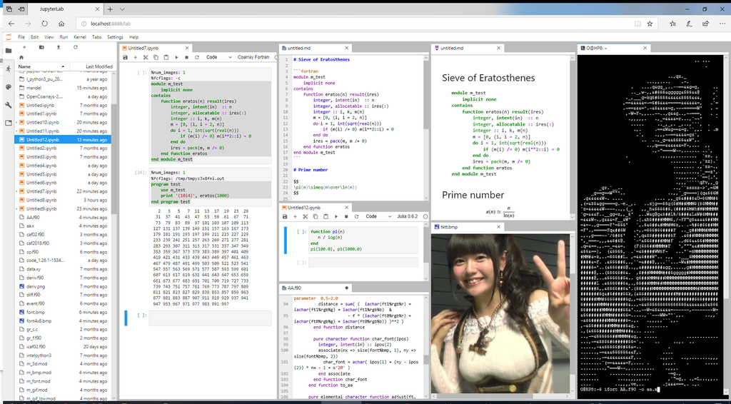 【寝言】JupyterLab が面白いですの - fortran66のブログ