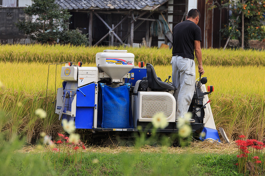 Kajimoto 撮影場所： 岸和田市