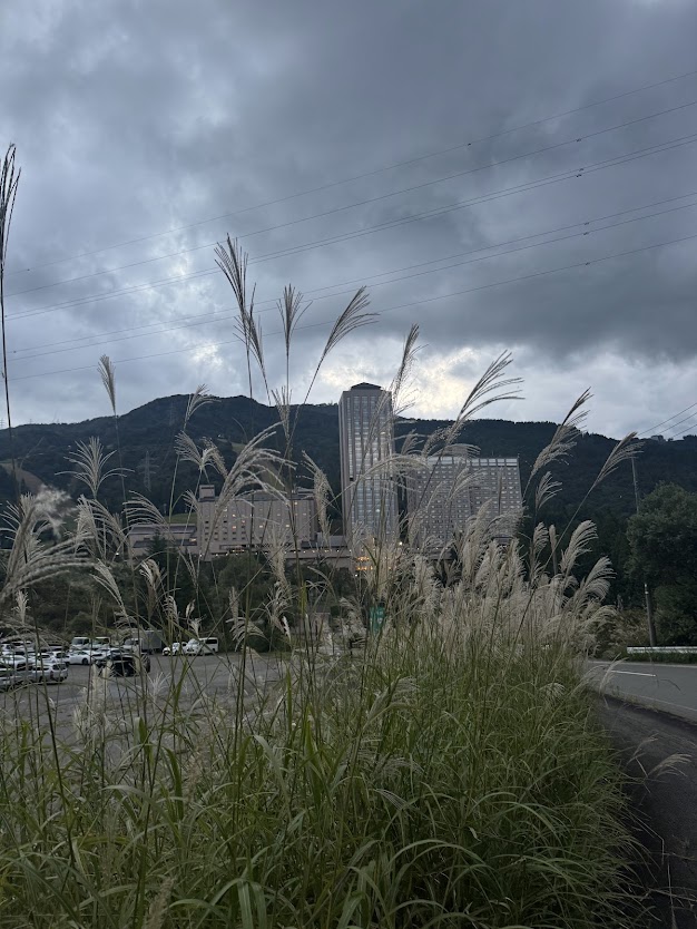 【セミナーレポート】情報セキュリティワークショップ in 越後湯沢 （その4：番外編） - Fox on Security