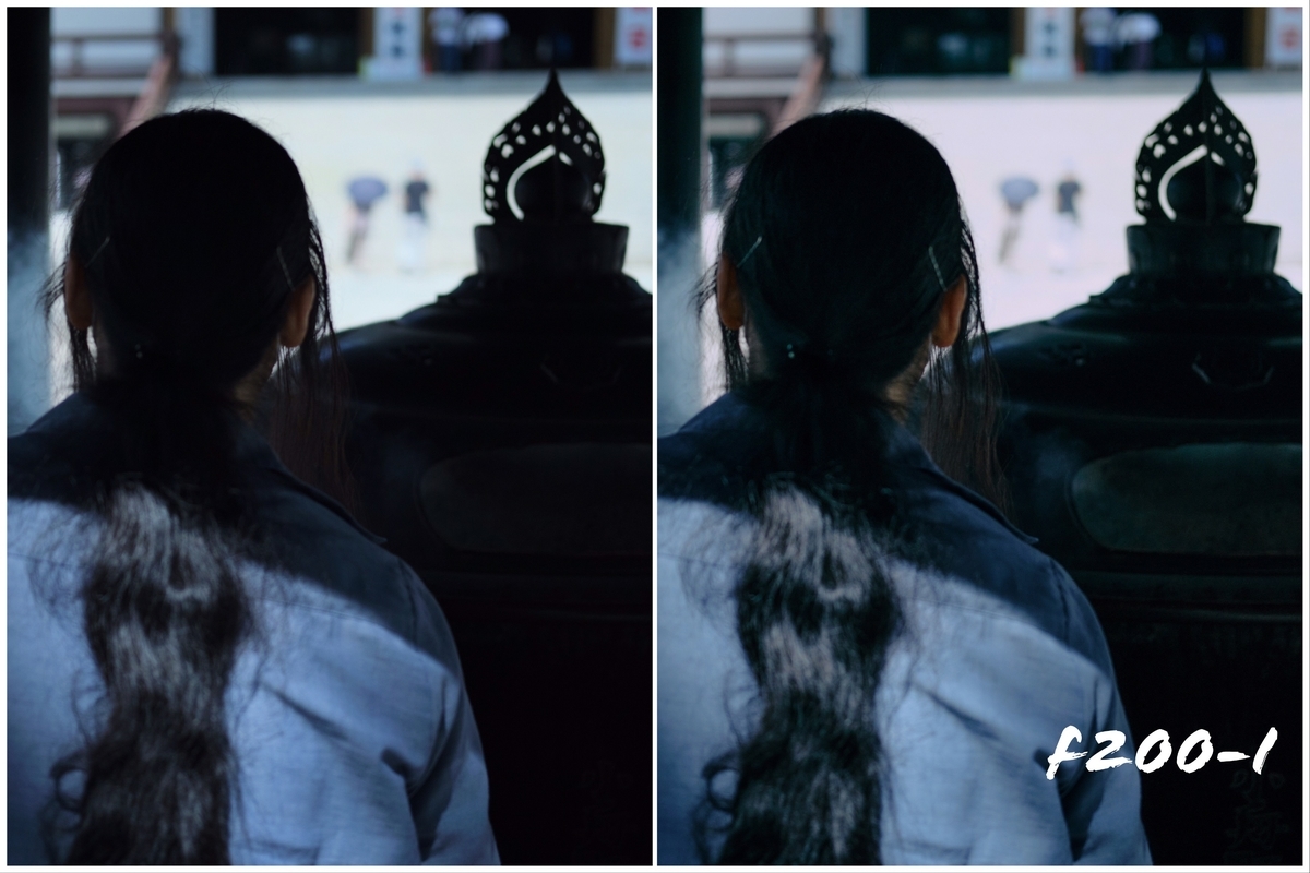 Capture One "Beyond Film Style" を試してみる - 最近気になった日記的なモノ