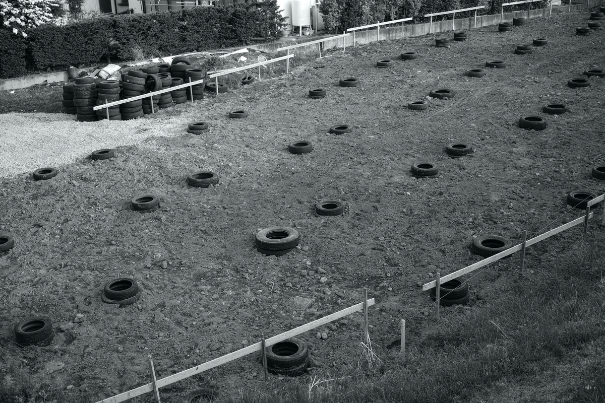 20231216 - こんなどんな