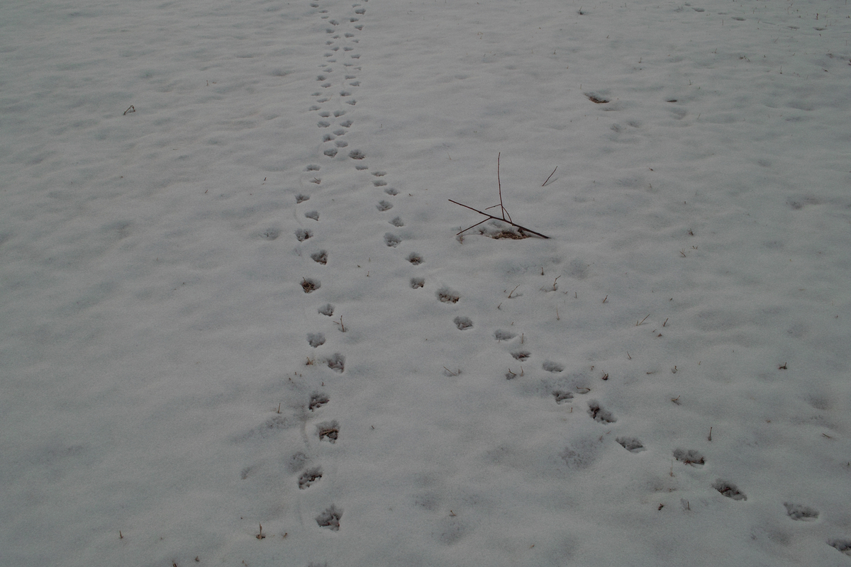 20240310-2 - こんなどんな