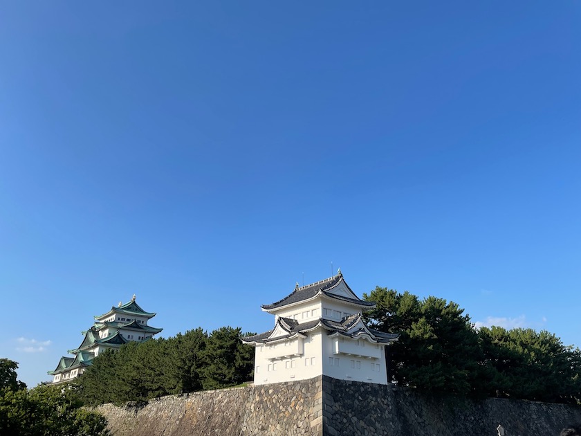 goquを駆使してgoでSQL構築も構造体マッピングもRDBテストもやる - エムスリーテックブログ