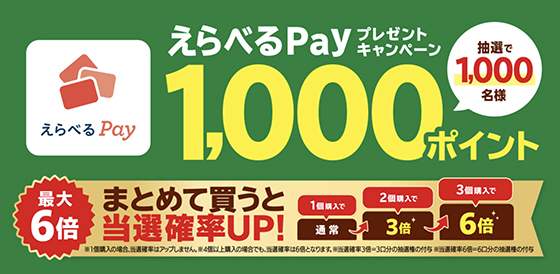 カバヤ｜えらべるPay1,000ポイントプレゼントキャンペーン - 当たる可能性が高い懸賞を狙う