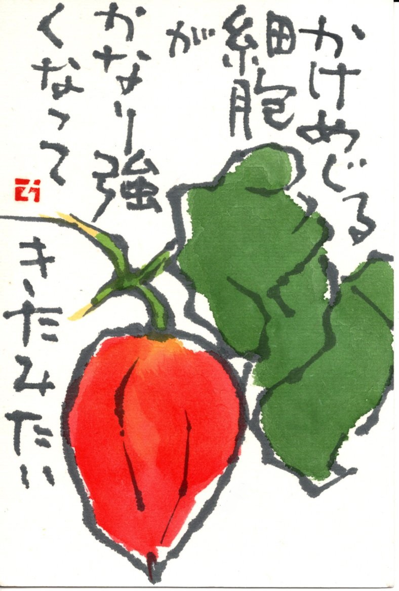 ルコウソウの復活で心も晴れやかに・・・ - いつも、いつでも元気炸裂！2