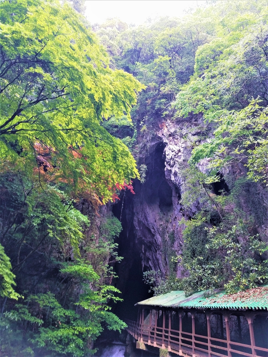 なつかしの旅：秋芳洞 ⑧（山口県美祢市） - fwssのえっさんブログ