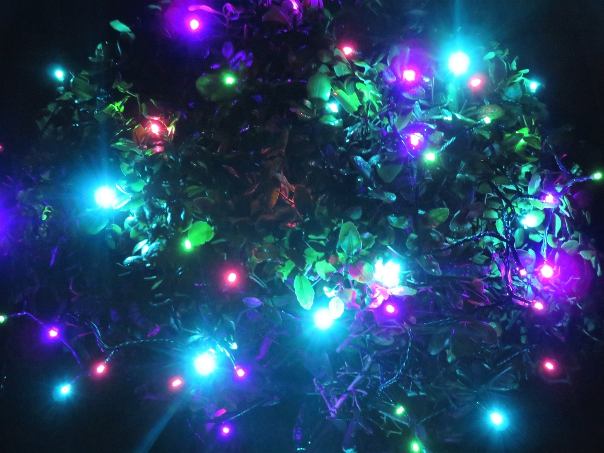 イルミ・ライトアップ・クリスマス・師走シリーズ ⑥ - fwssのえっさんブログ