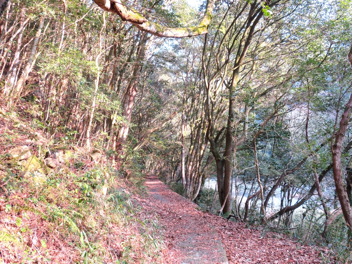 「長門峡」を翌日は「道の駅長門峡」側から歩く（2） - fwssのえっさんブログ