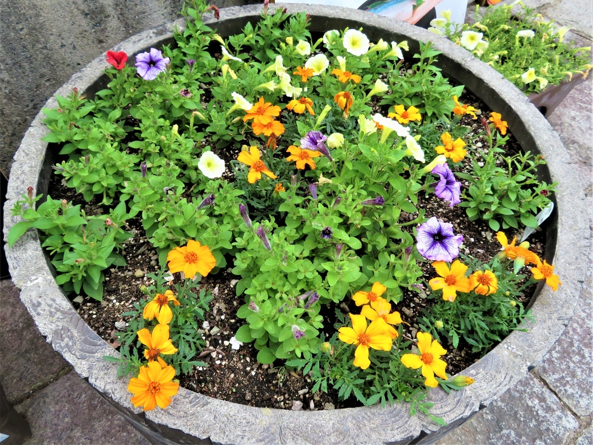 なつかしの信州旅（2）往路の中国道を走る：勝央SAなど - fwssのえっさんブログ