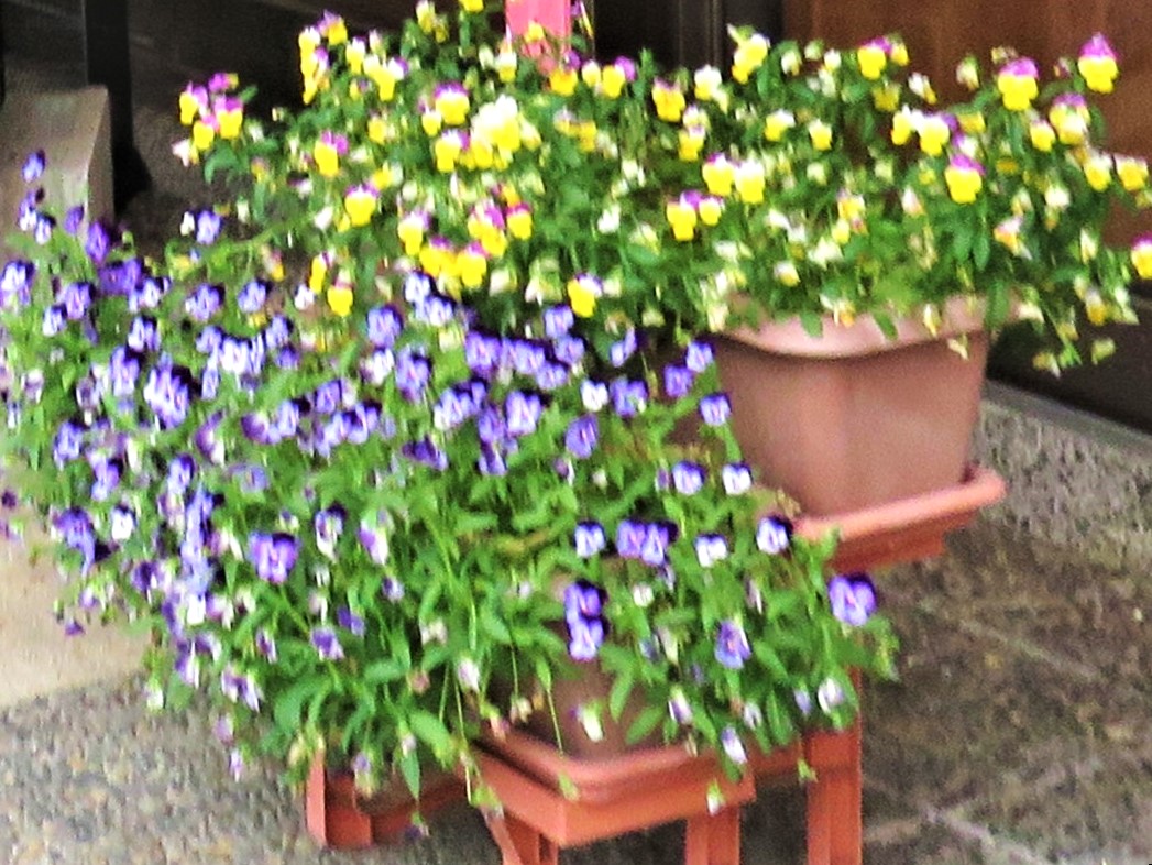 なつかしの信州旅（2）往路の中国道を走る：勝央SAなど - fwssのえっさんブログ