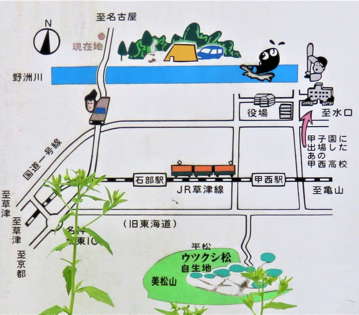 なつかしの信州旅（7）往路の名神道を走る：多賀SAなど - fwssのえっさんブログ