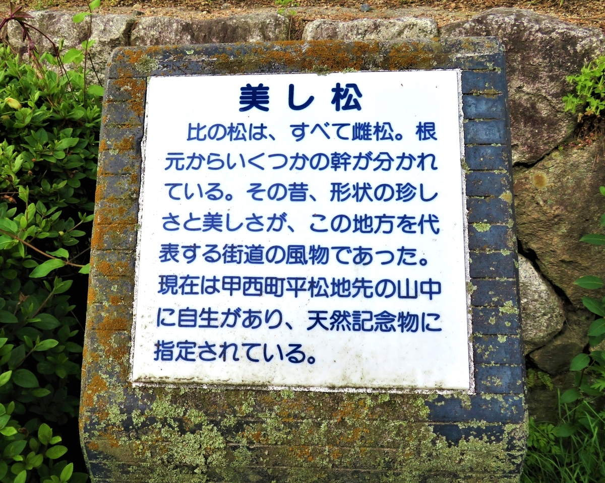 なつかしの信州旅（7）往路の名神道を走る：多賀SAなど - fwssのえっさんブログ