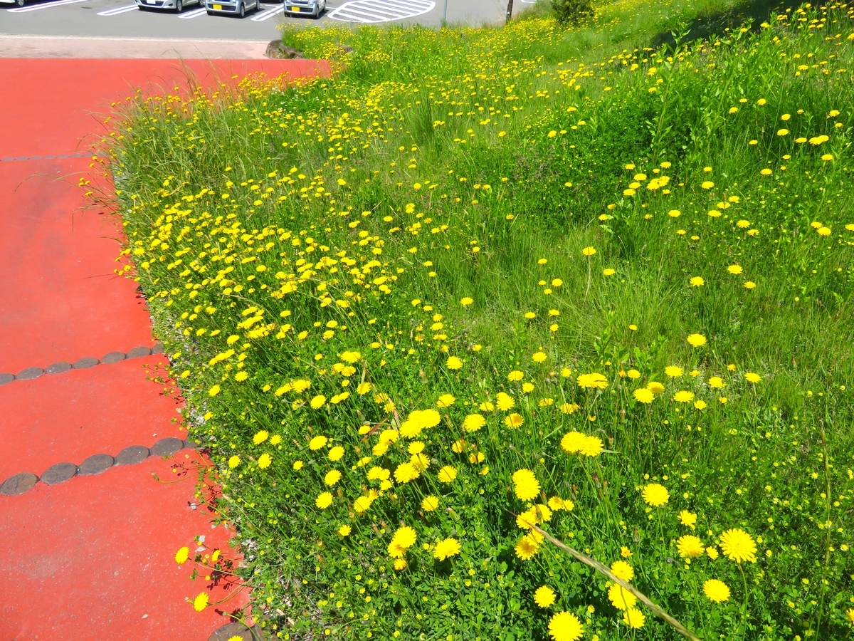 なつかしの信州旅（39）：梓川サービスエリア （長野県安曇野市） - fwssのえっさんブログ