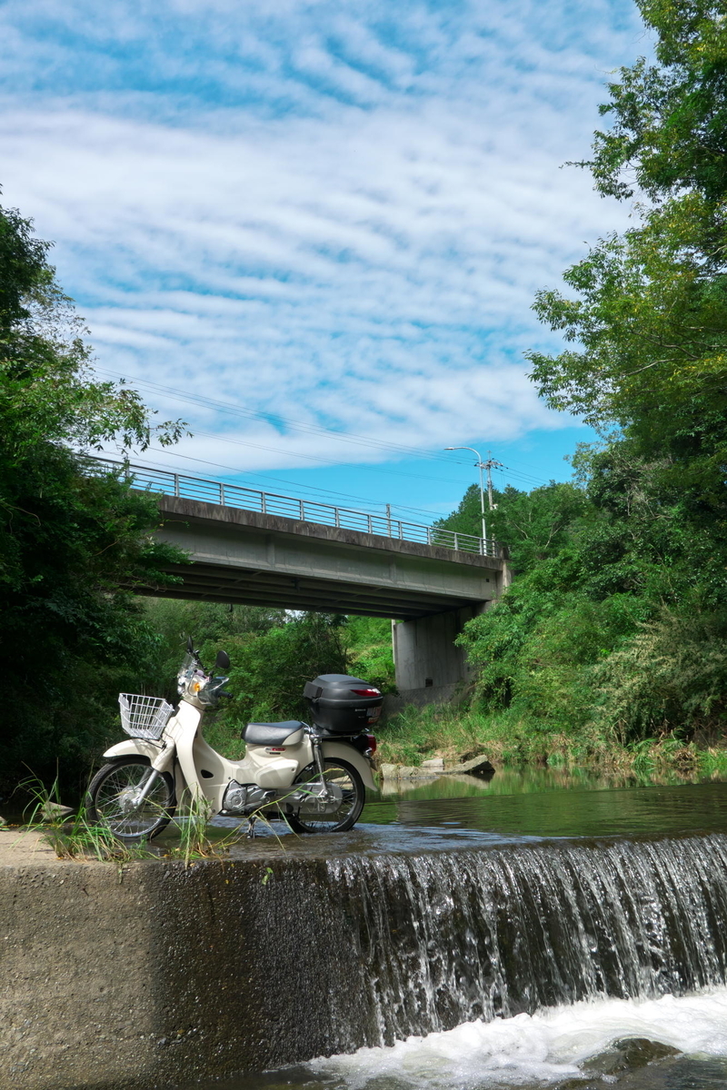 彼岸花と清流を見に行く酷道193～439ショートツーリング - 蒼天快走記