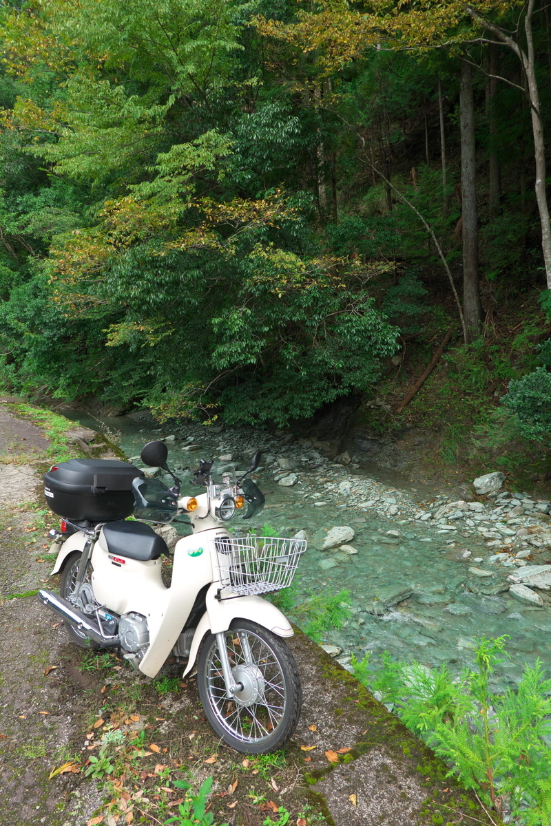 彼岸花と清流を見に行く酷道193～439ショートツーリング - 蒼天快走記