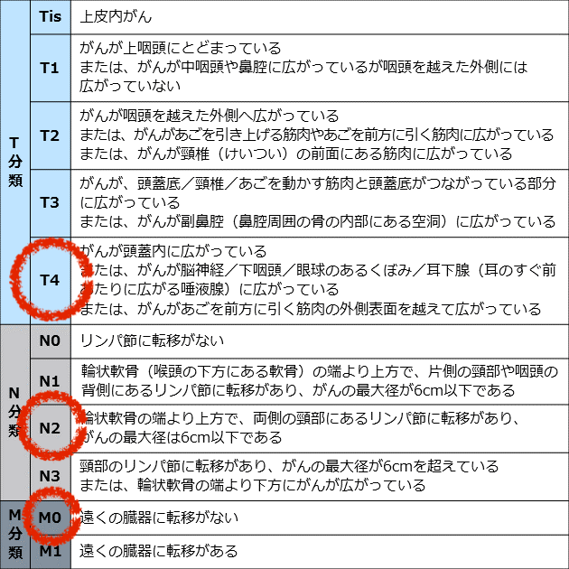 医療従事者によるステージ、TNM分類の解説。 - 24歳でがんになった。～Return Match～