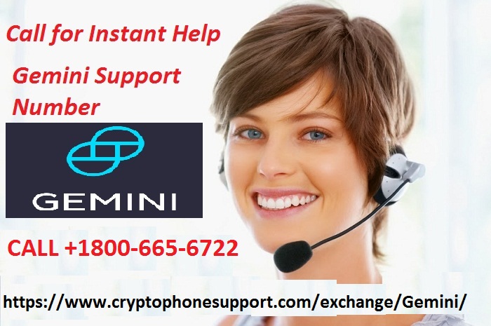 Gemini Transaction Email Confirmation Pending - geminisupport’s diary