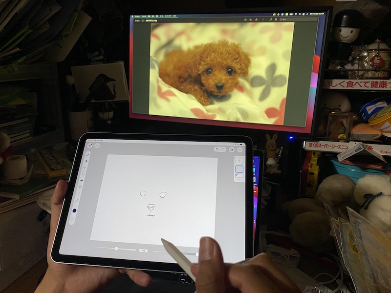 絵を満足に描けるようになりたいけど何から始めたらいい？→とりあえずiPadを買うけど覚悟がいるね【iPadお絵かき修行 #1】 - GENSEKIマガジン