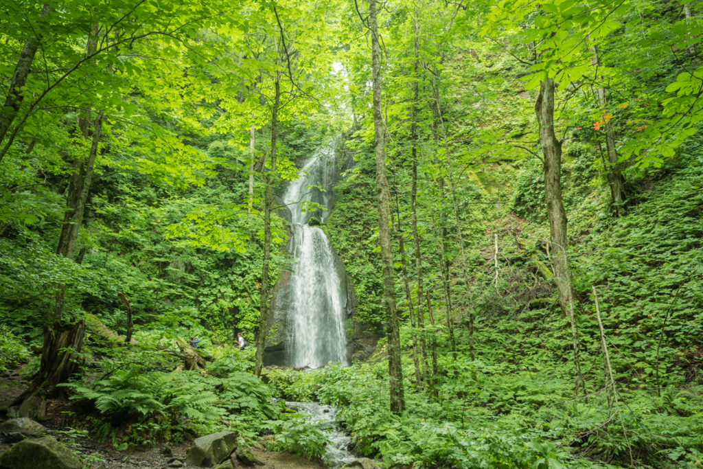 ループ＆ループ - suta laboratory