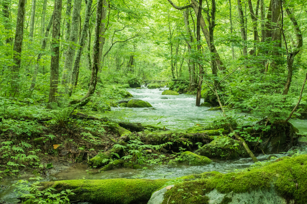 ループ＆ループ - suta laboratory