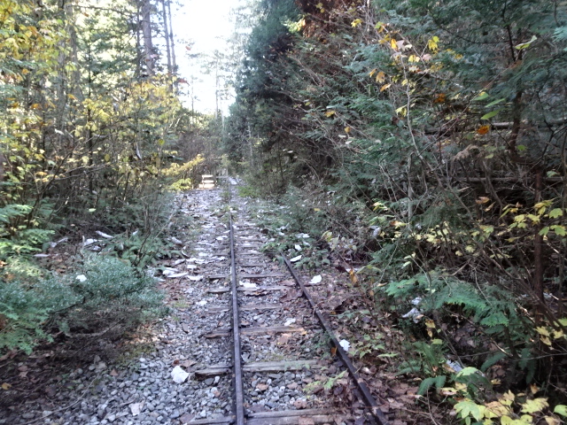 赤沢森林鉄道に行きました 4 丸山渡の旧線と貨車群 - 気分はガルパン、、ゆるキャン