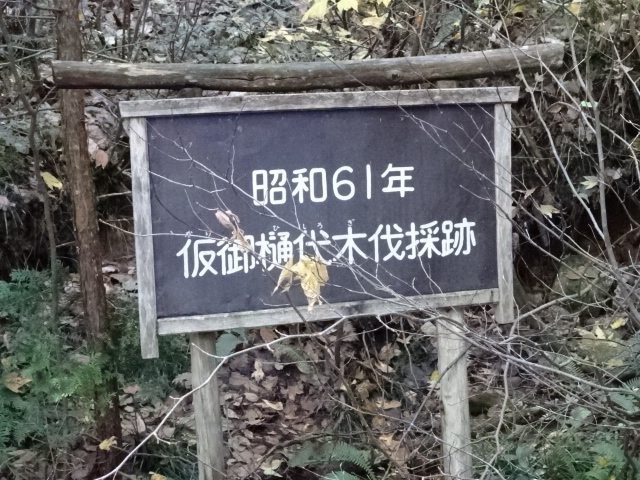 赤沢森林鉄道に行きました 4 丸山渡の旧線と貨車群 - 気分はガルパン、、ゆるキャン