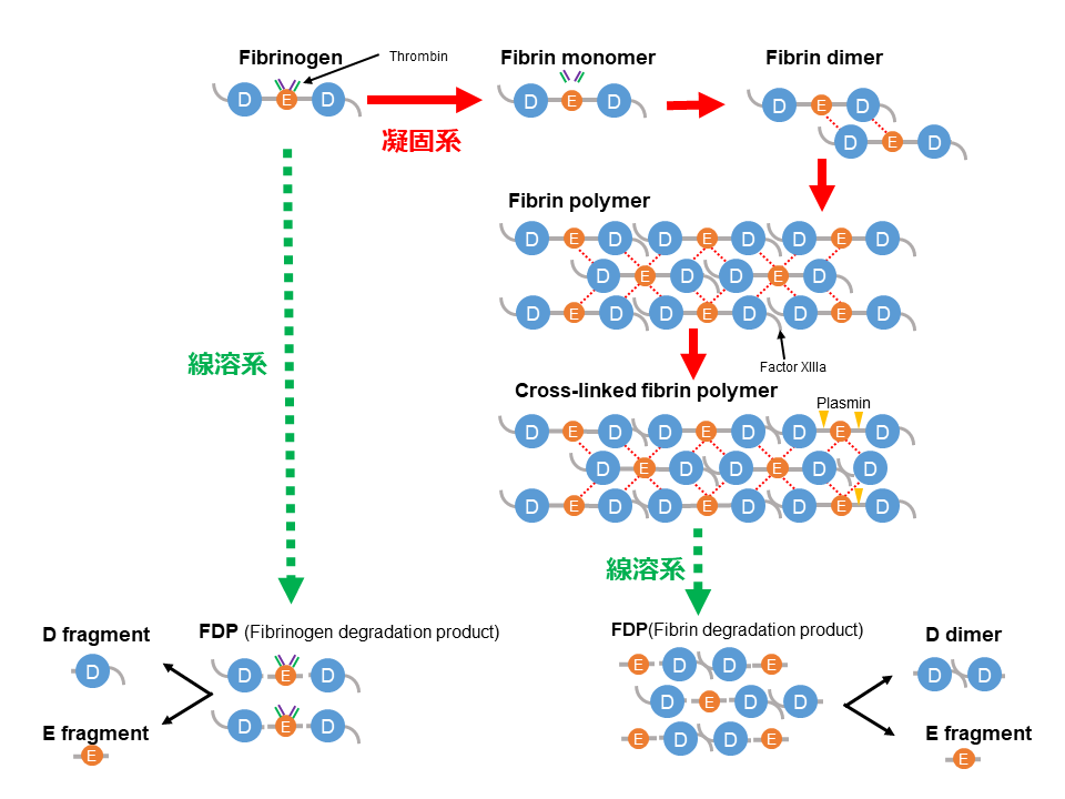 What's up? Cardiology