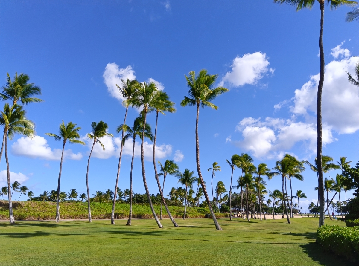 「2025年秋のハワイ旅行記｜夫婦・家族でのんびり過ごす9泊11日」 - じーのの日記