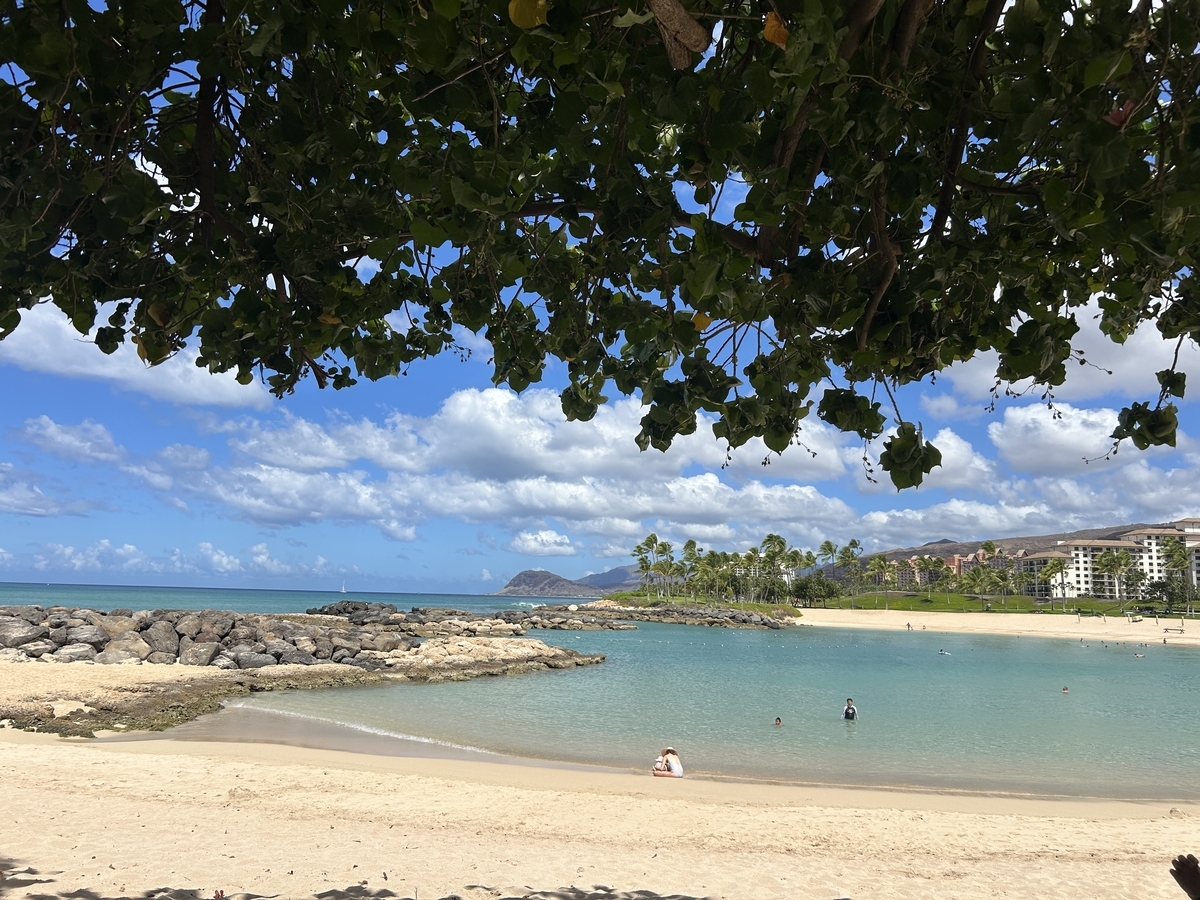 ホノルル空港の入国審査は厳しい？質問内容・注意点を実体験から解説 - じーのの日記